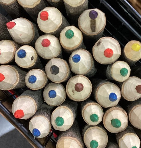 Jumbo Branch Crayon