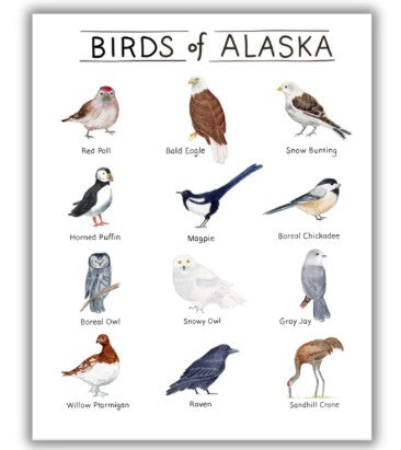 Birds of Alaska Art Print